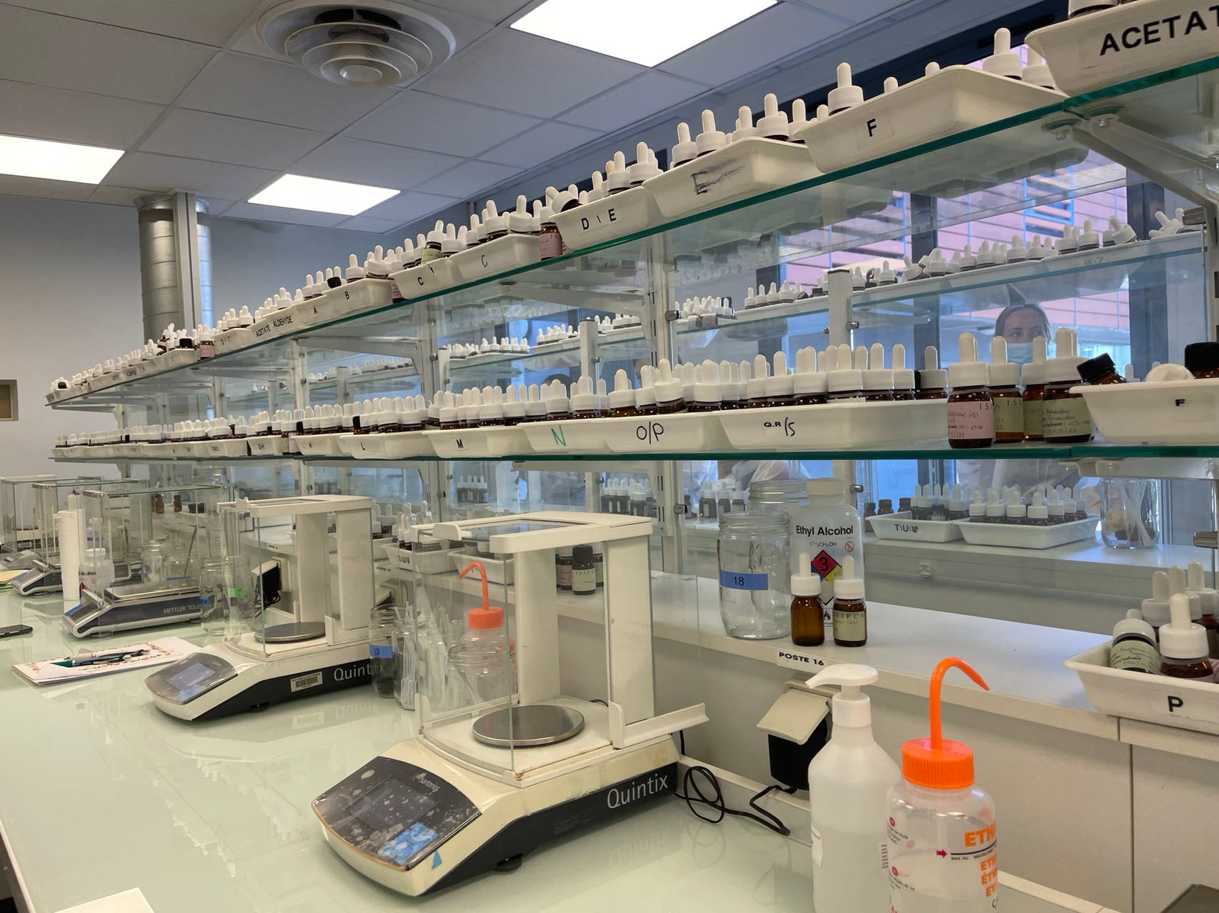 Education at ISIPCA: Exploring the World of Fragrance – Luminose